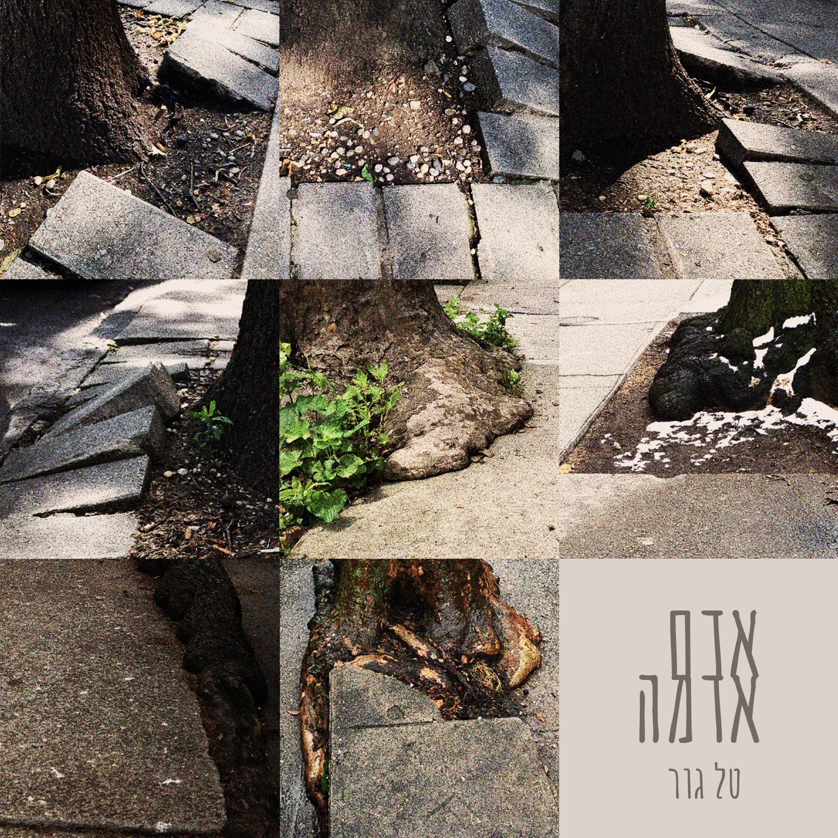 Discography | Tal Gur